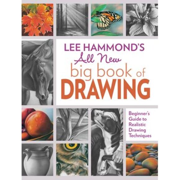 Lee Hammond | Other | Lee Hammonds All New Big Book Of Drawing ...